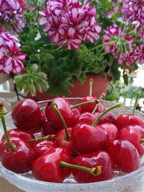 Пин от пользователя Ghi на доске Fructe și Legume🍒🍓🍏🍐🍉🍅🌶🥒🍇🌽 Фруктовые композиции Ягоды Фрукты