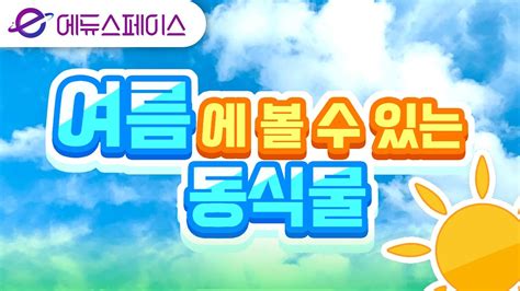 중등 과학 여름에 볼 수 있는 동식물 실감형 콘텐츠 에듀스페이스 Youtube
