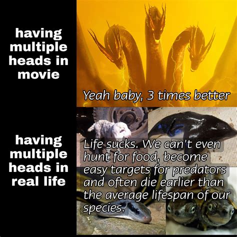 I Just Found Out Its Called Polycephaly Its Kind Of Like A