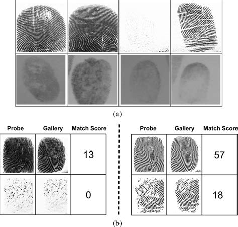 A Sample Fingerprints From Publicly Available Databases Used In This Download Scientific