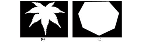 Example Of A Binary Image B Binary Image Obtained From Convex