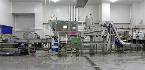 Raytec Discovery Is An Optical Sorting Machine With The Highest