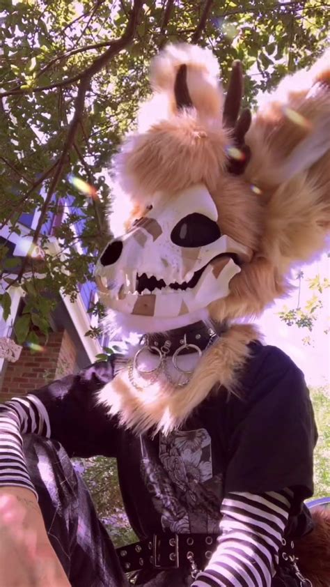 mi skulldog в 2022 г | Красивые существа, Костюмы животных, Фурри-арт