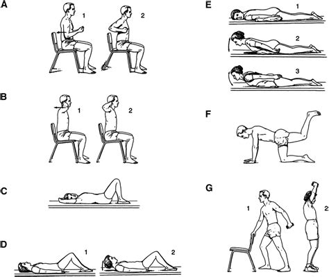 Spinal Compression Fracture Exercises At Ella Byatt Blog