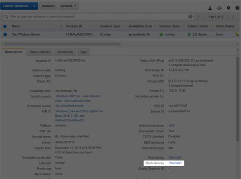 resizing storage volume for aws ec2 windows without restarts downtime