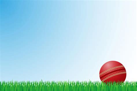 Cricket Background Vector Art Icons And Graphics For Free Download