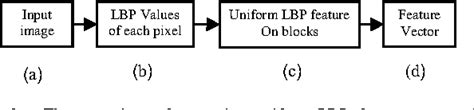 Figure 1 From Pedestrian Detection Based On Hog Lbp Feature Semantic