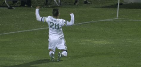 Soccer Celebration  By New York Cosmos Find And Share On Giphy