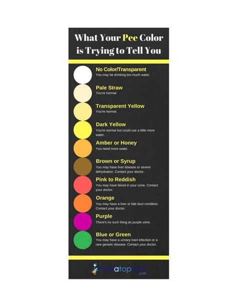 Color Of Pee Pdf Medical Health