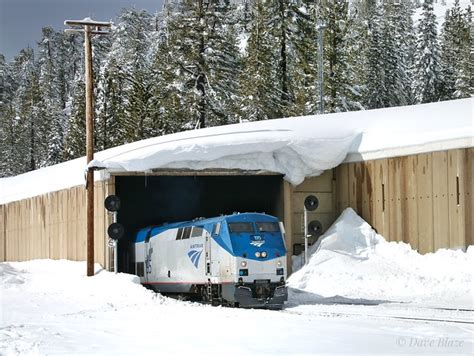 David Blazejewski Flickr