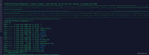 Openssl 生成 Rsa 公钥和私钥 Csdn博客