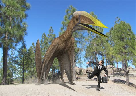 Hatzegopteryx Thambema