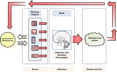 Brain Science Brain Inspired Artificial Intelligence And Applications