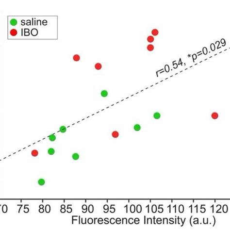 Correlation Between Mri And Histology Significant Correlation Between
