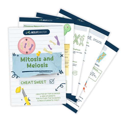 Mcat Cheat Sheets Library Free Pdf Downloads Medlife Mastery