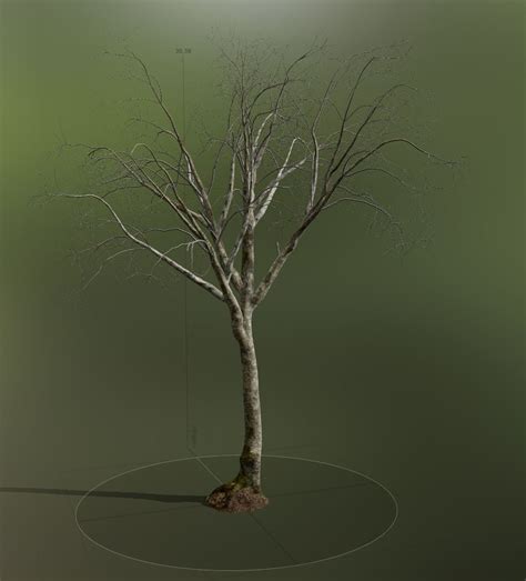 using photogrammetry in speedtree 9 inu games