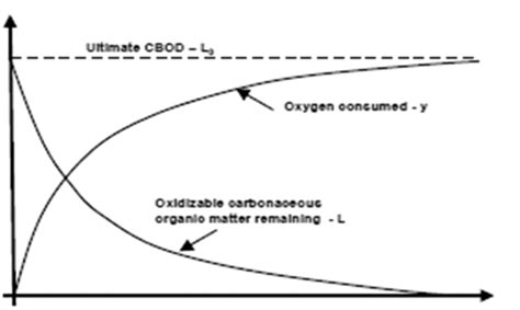 Pattern Of Carbonaceous BOD In First Order Kinetics Source Thomann Download Scientific
