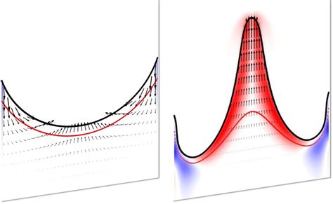Vorticity And Velocity Fields During The Ejection Process Of A Free Download Scientific Diagram