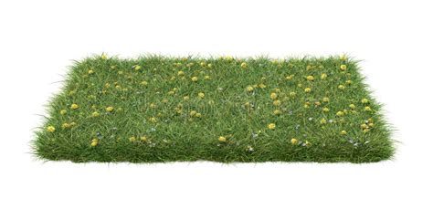 Square Grass Patch Stock Illustrations 53 Square Grass Patch Stock Illustrations Vectors