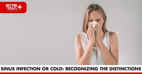 Sinus Infection Or Cold Recognizing The Distinctions