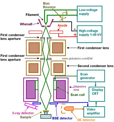 Schematic Diagram Of Sem