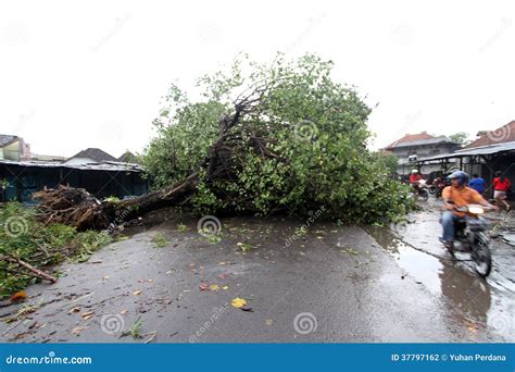 The Hurricane Editorial Photography Image Of Disaster 37797162