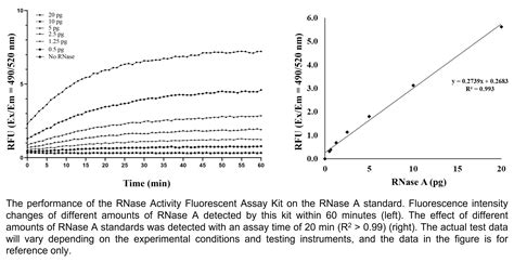 Rnase Alert Kit