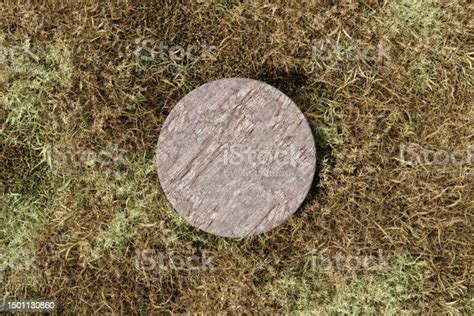 Abstact 3d는 여름 장면과 자연 연단 배경을 렌더링합니다 제품 전시 광고 화장품 등을 위한 마른 잔디밭에 나무로 되는 연단 0명에 대한 스톡 사진 및 기타 이미지