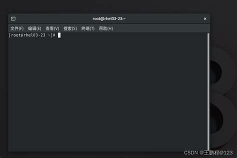 linux命令行基础教程：终端操作、命令语法与shell简介 csdn博客