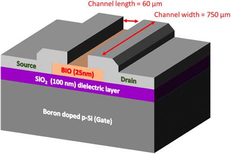 Schematic Of Bottom Gate And Top Contact Configuration Of Tft Device