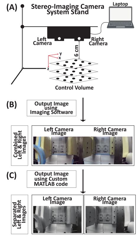 Direct Linear Transformation For The Measurement Of In Situ Peripheral Nerve Strain During