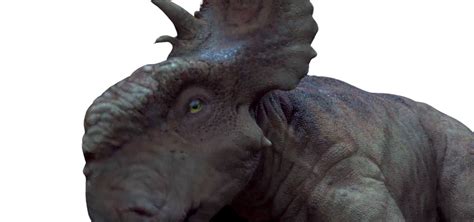 Patchi By Dracoawesomeness On Deviantart