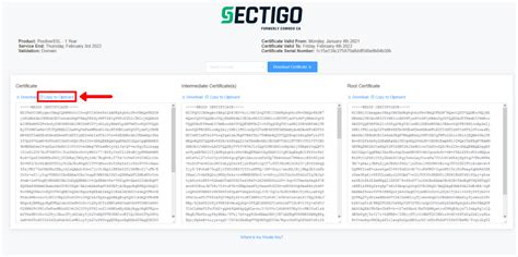 VestaCP SSL Configuration And Installation Guide SSLTrust