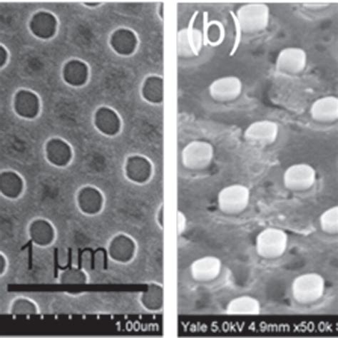 Schematic Diagrams Of The Fabrication Method For Nano Patterned Download Scientific Diagram