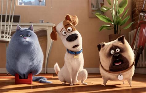 The Secret Life Of Pets Max Wallpapers Wallpaper Cave