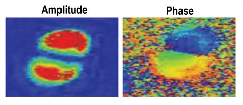 Nanoscale Optical Imaging And Spectroscopy Neascope กล้องจุลทรรศน์วิเคราะห์เอกลักษณ์เฉพาะระดับ