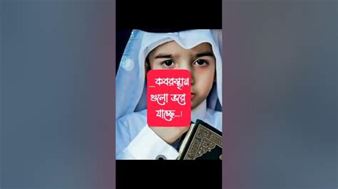 কবরস্থান গুলো ভরে যাচ্ছে যুবকদের দিয়ে Islamicvideo Status Shorts Subscribe Youtube