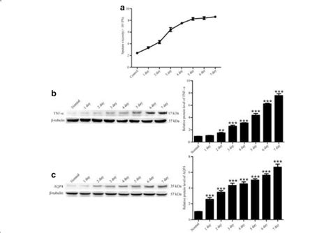 Sputum Viscosity And Tnf α Aqp4 Expressions In The Early Stage After Download Scientific