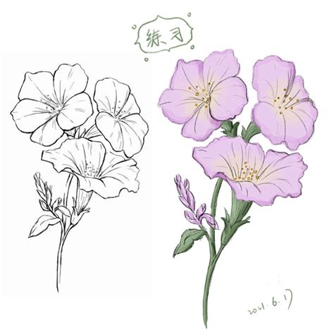 线条练习
