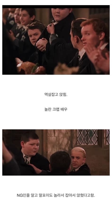 원래 Ng였다는 해리포터 장면  유머 움짤 이슈 에펨코리아