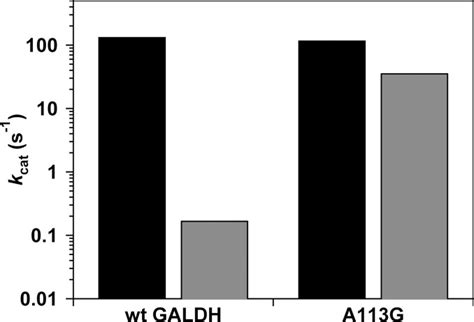 Putting The “o” In Flavoprotein♦ Journal Of Biological Chemistry
