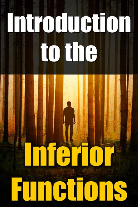 Tertiary Functions Part 2 Se Si Ne Ni Artofit