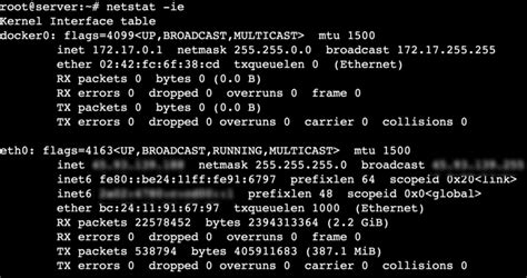 How To Use The Netstat Command In Linux