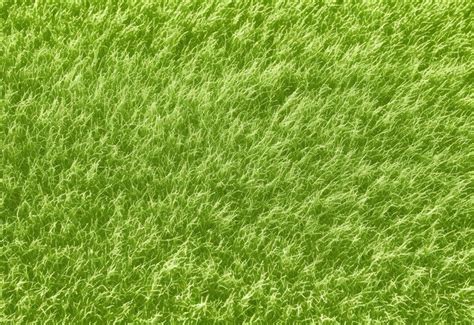 Page 31 Anime Grass Texture Images Free Download On Freepik