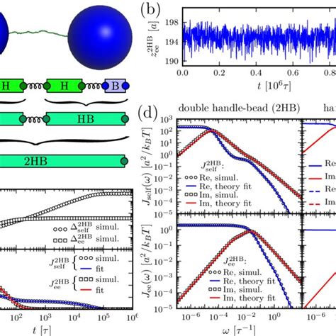 The First Step In The Deconvolution Procedure Needed To To Determine