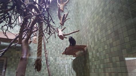 20151018 110927 Fabio Capasso Flickr