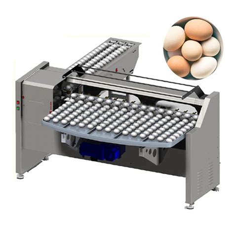China Chicken Egg Sorting Machine Manufacturers Suppliers Factory China Chicken Egg Sorting Machine Manufacturers Suppliers Factory