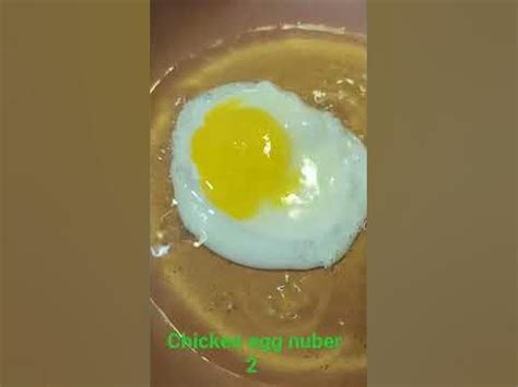 Chicken Egg Number 2 Short Youtube