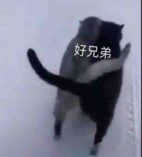 好兄弟在心中表情包 高清无水印表情包下载 表情包宝典