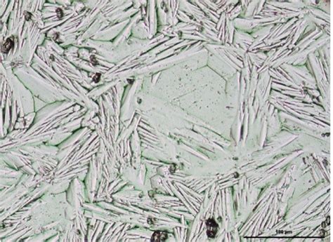 Initial Austenitic Microstructure Of The Investigated Niti Alloy A At
